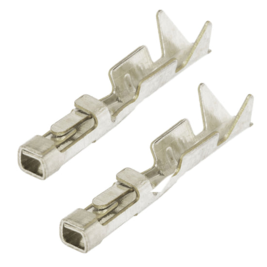 Heng Long 2 Pin DuPont-Style Connector With Female Crimp Pins For TK6 ...
